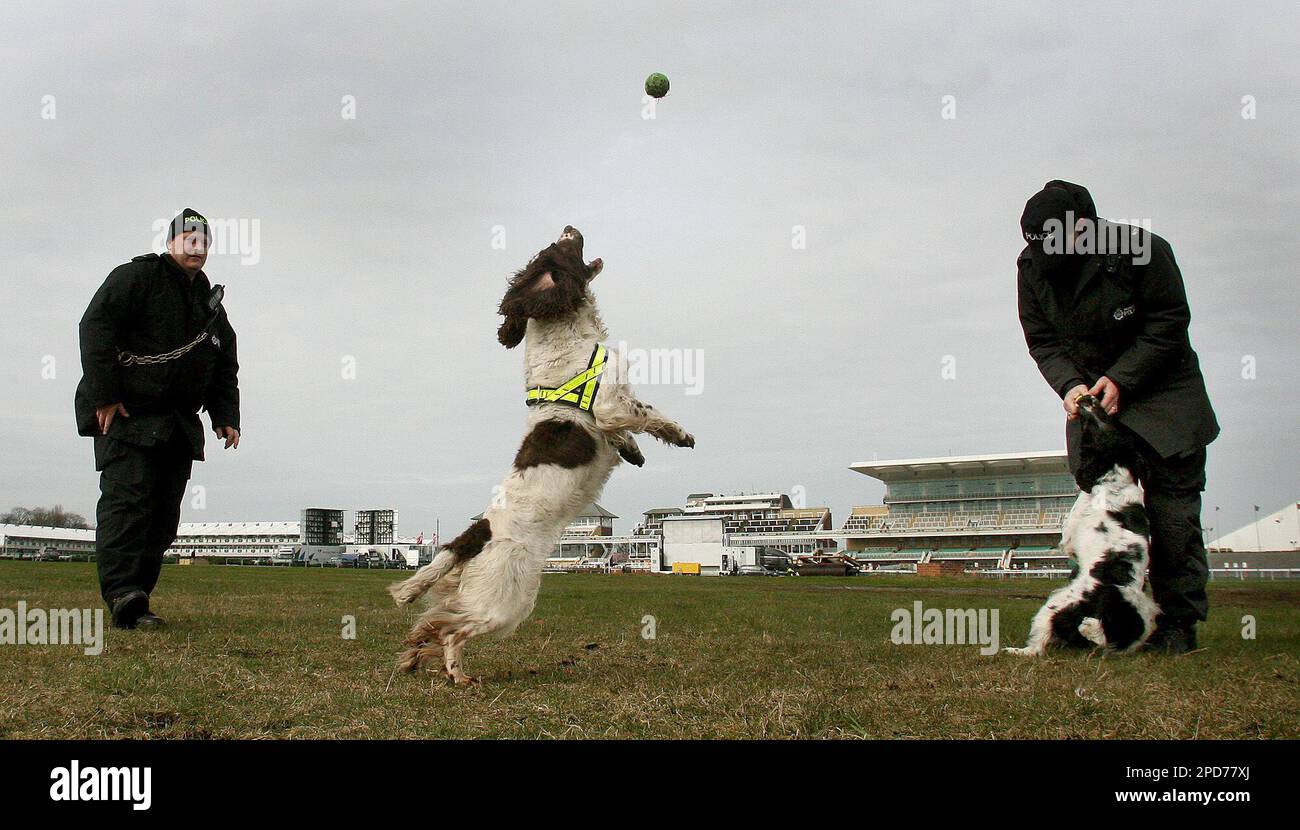 Merseyside Police dog handlers Constable John Tyrer, left, and ...