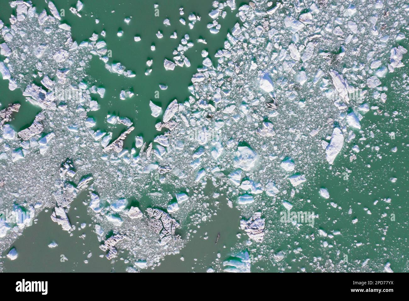 Aerial view of floating drift ice / icebergs in Recherche Fjord, coming ...