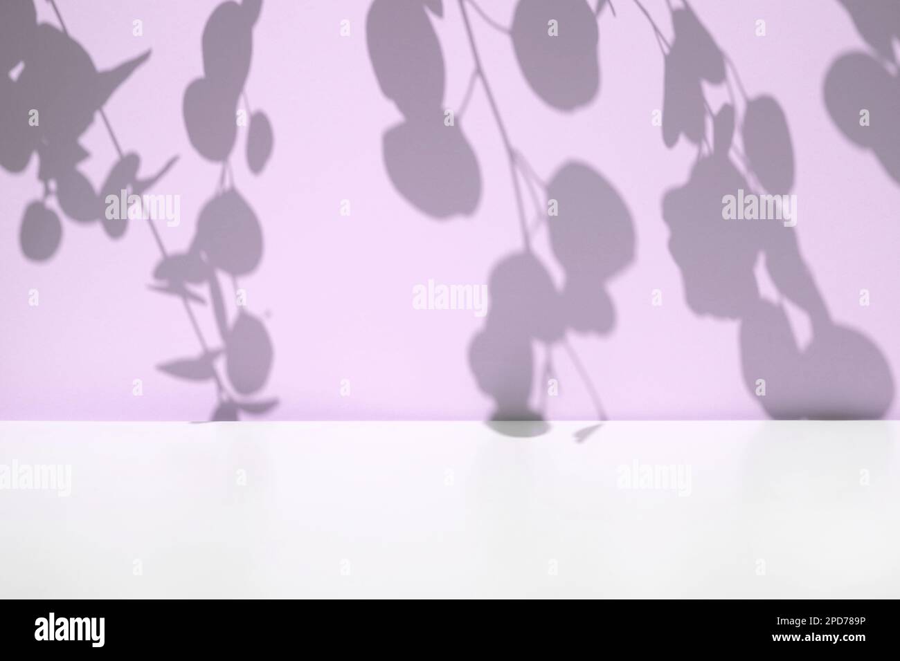 Plant shadows on violet color wall. Leaves shadow background. Branches ...