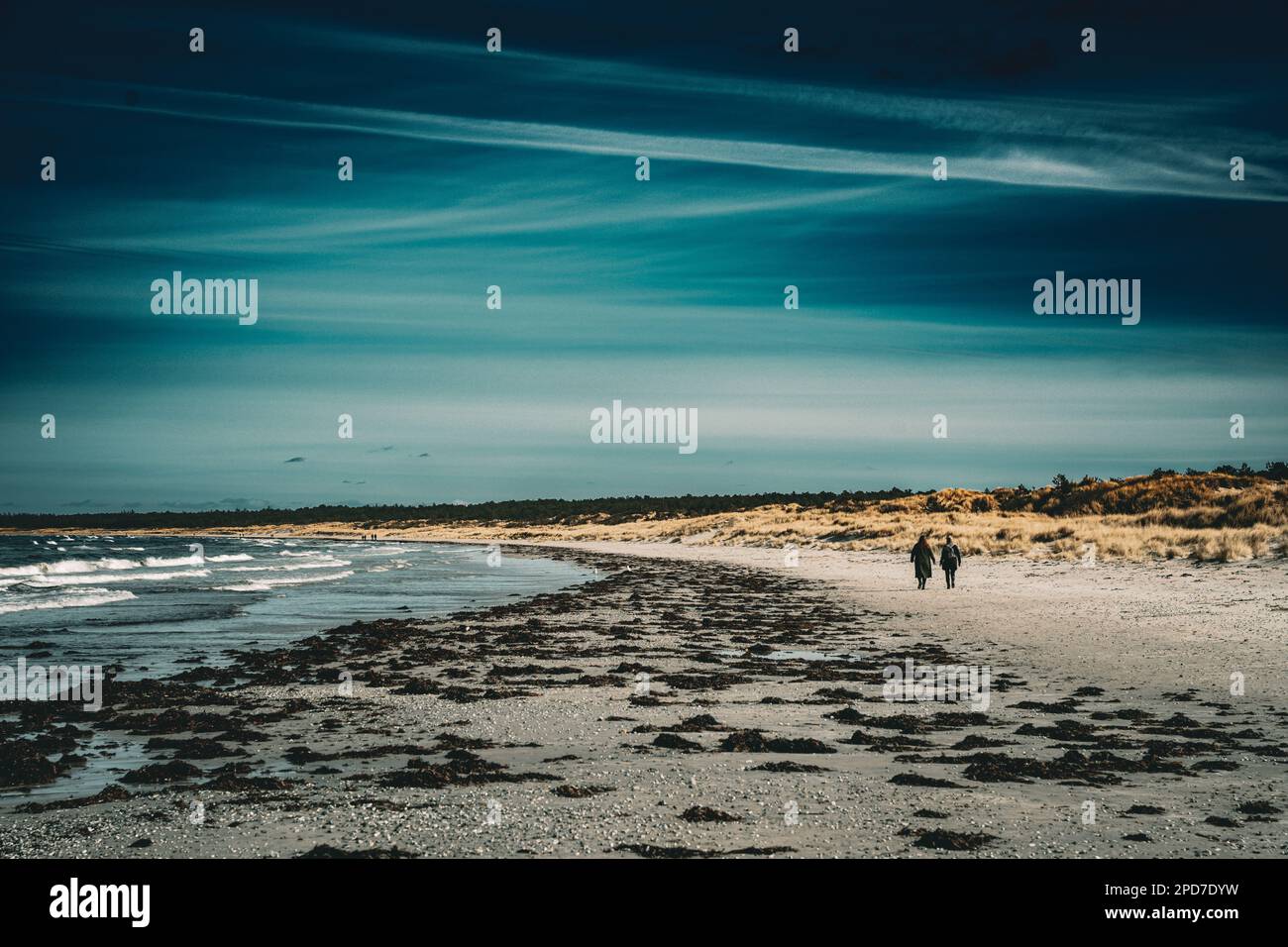 Rorvig hi-res stock photography and images - Alamy