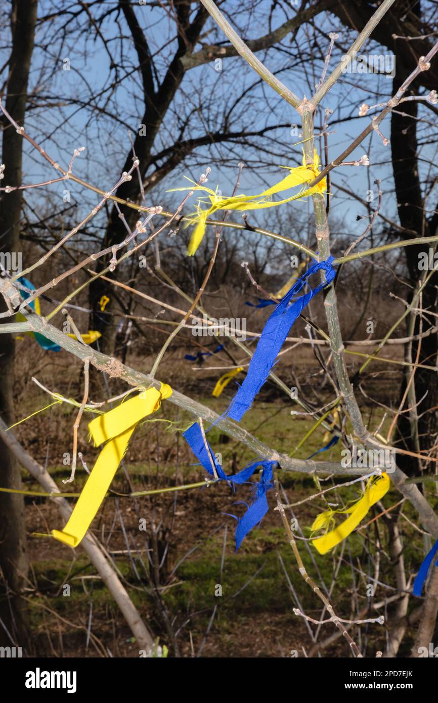 Rights on ribbons tree hi-res stock photography and images - Alamy
