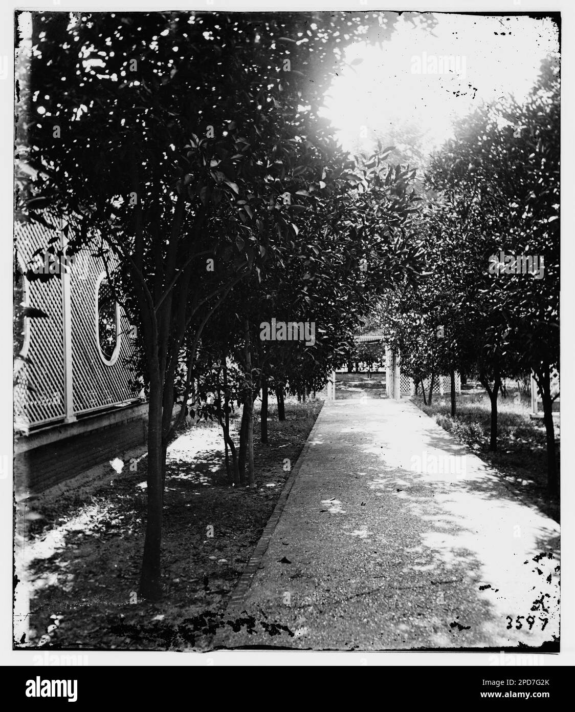 View of pathway. Civil war photographs, 1861-1865 . United States ...