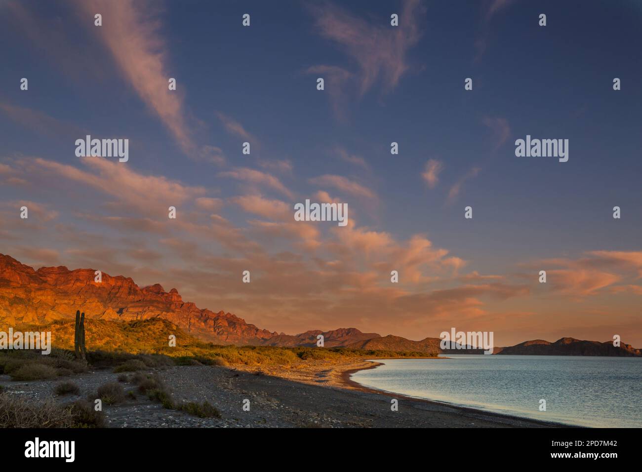 Beautuful landscapes in Baja California, Mexico. Travel background ...