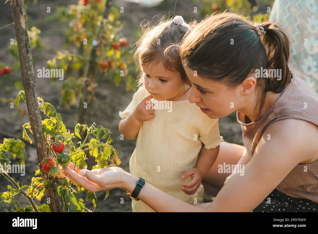 Little baby girl learning more about biology and food growing from her ...