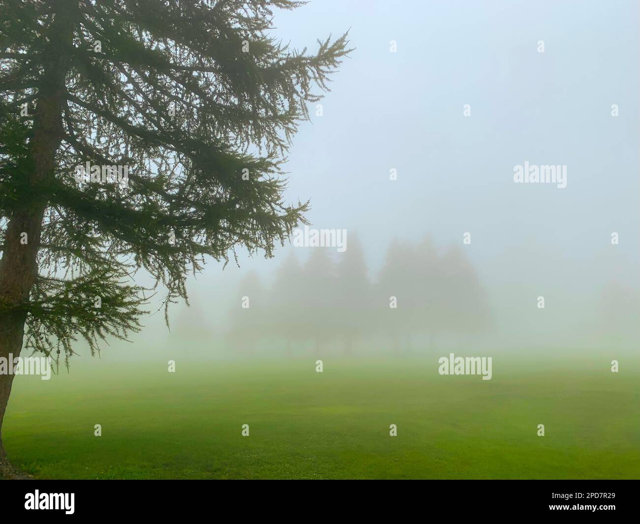 Crans Sur Sierre Golf Course with Fog and Trees in Crans Montana in ...