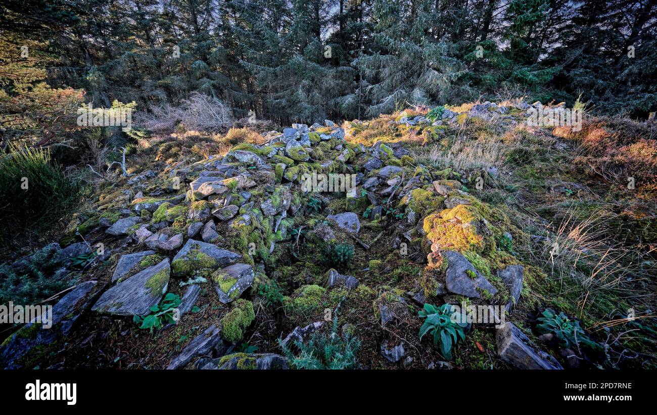 Spynie hi-res stock photography and images - Alamy