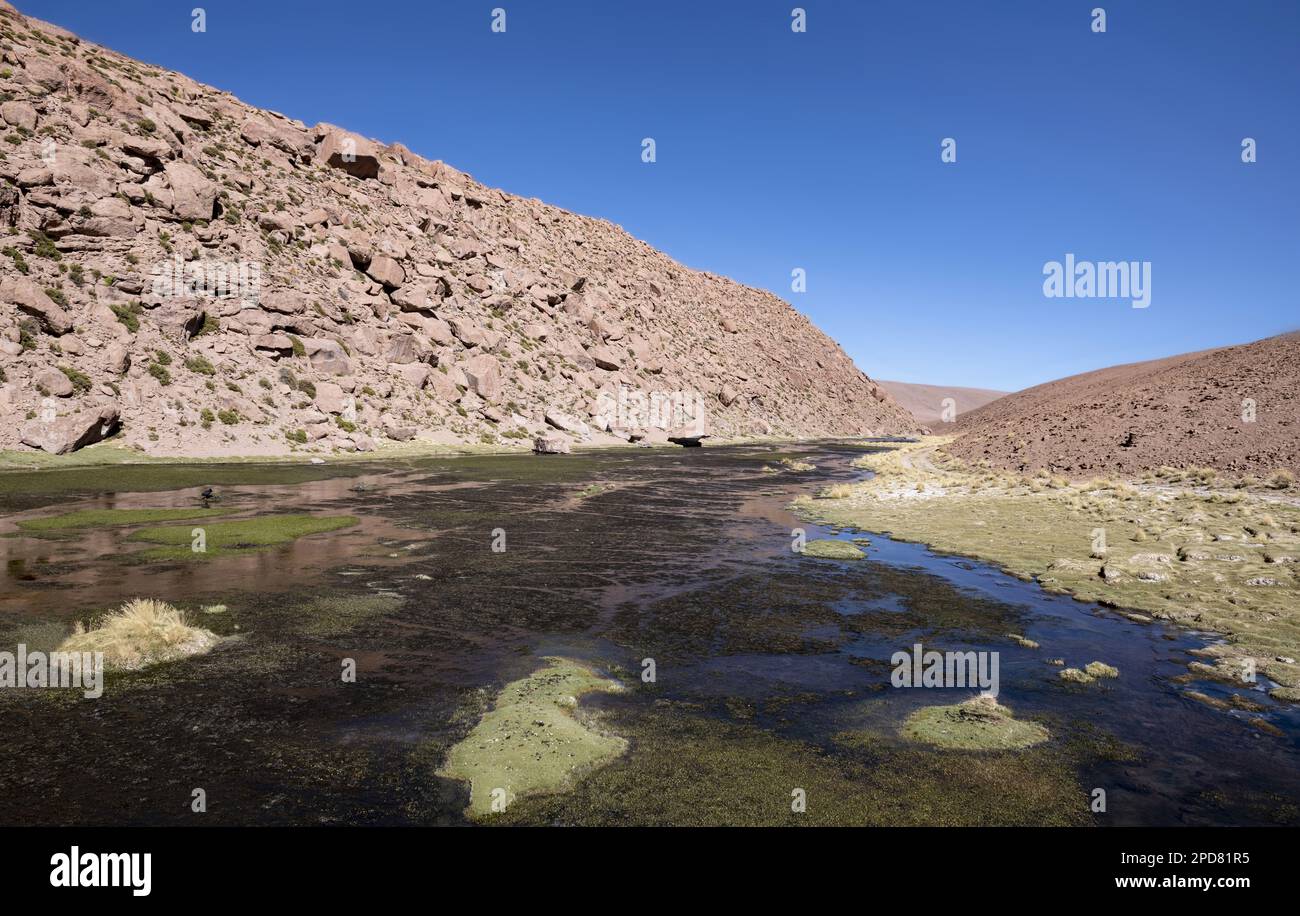 Putana hi-res stock photography and images - Alamy