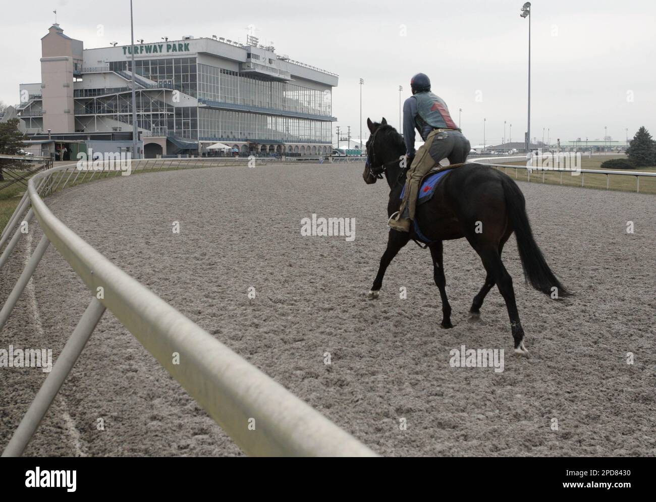 An exercise rider guides a horse over the Polytrack racing surface at ...