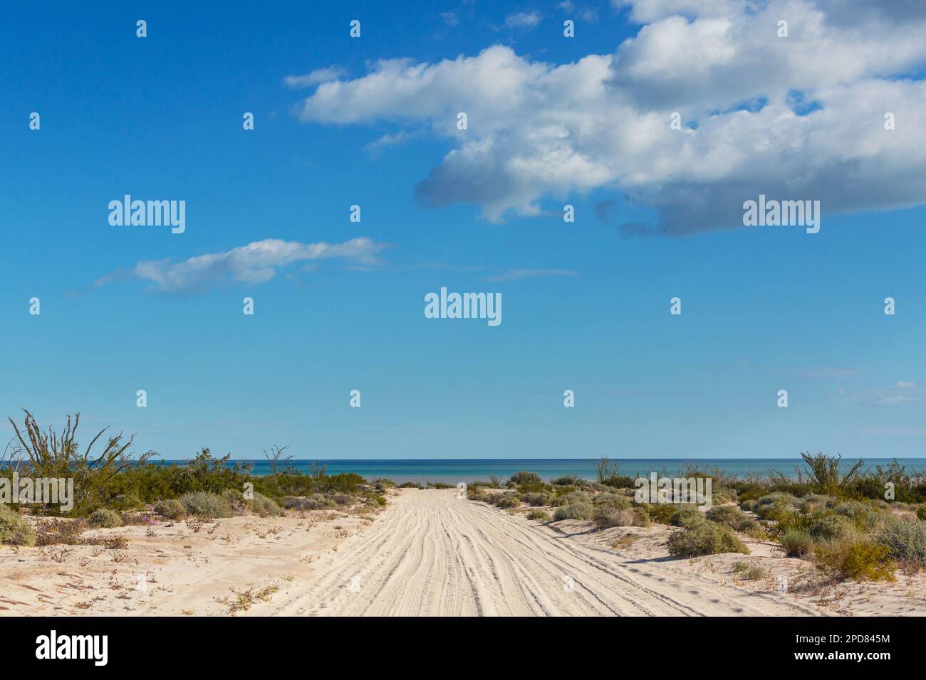 Beautiful natural landscapes in Baja California, Mexico Stock Photo - Alamy