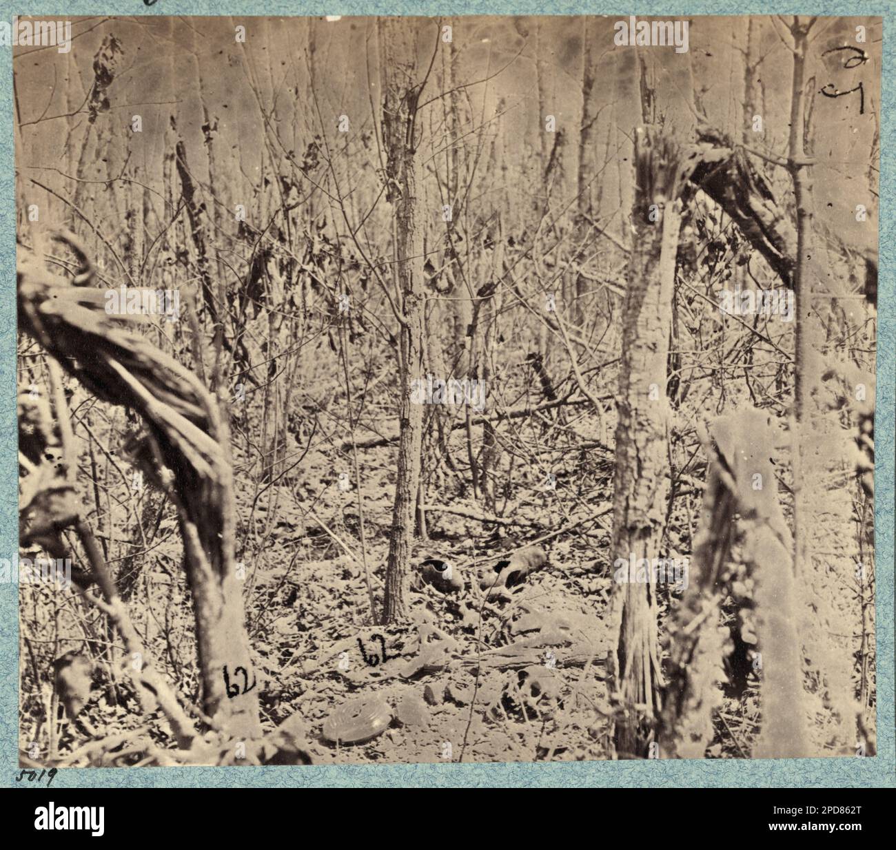 Views in the woods in the Federal lines on north side of Orange Plank ...