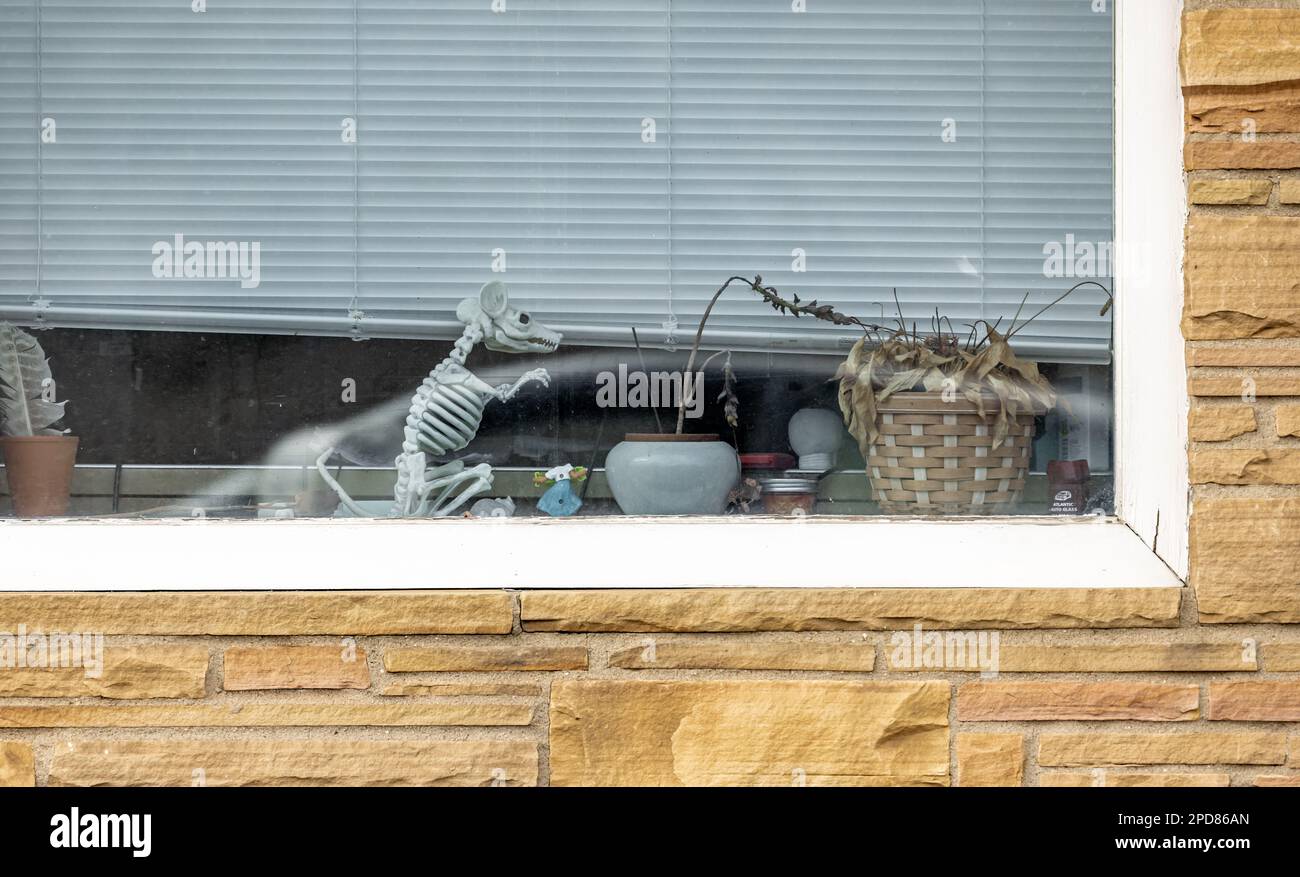 Strange arrangement of items in a window sill Stock Photo - Alamy