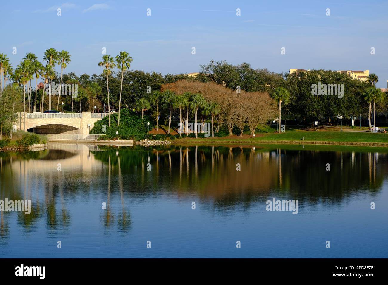 Lake reflects palm trees and stone bridge in Florida, USA Stock Photo ...