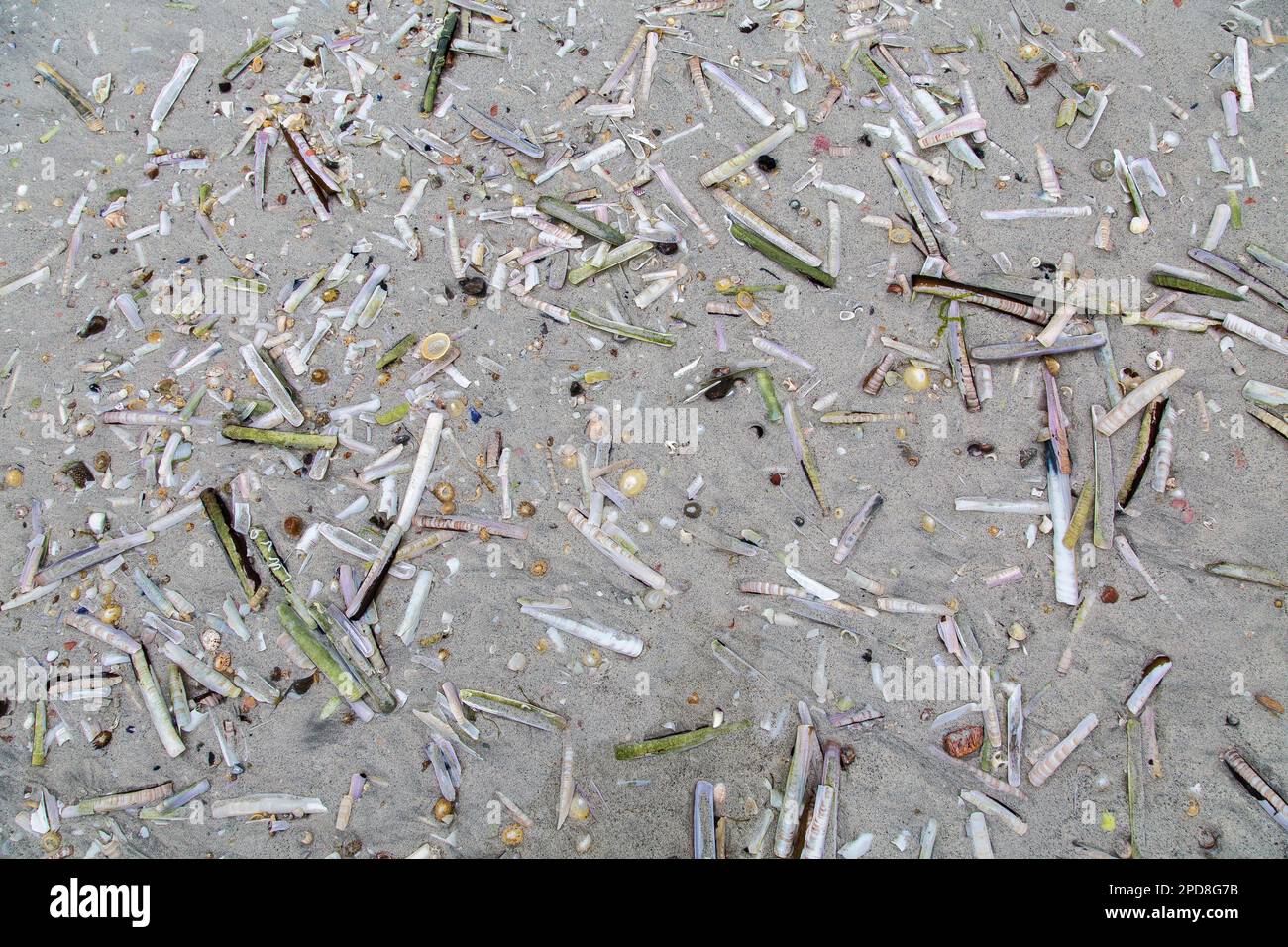 Wet beach scene hi-res stock photography and images - Alamy