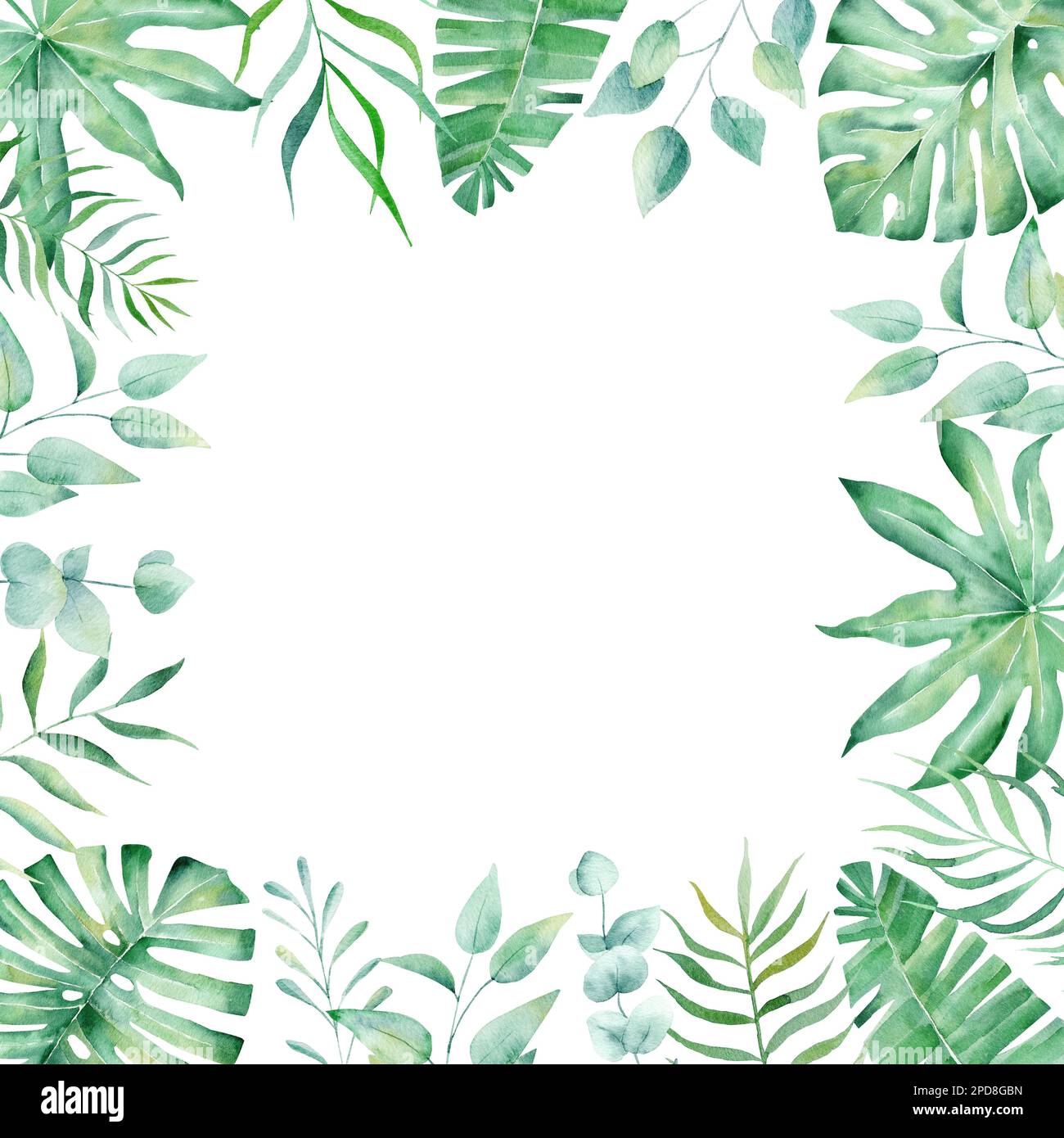 Exotic watercolor tropical frame border palm tree. Summer clipart ...