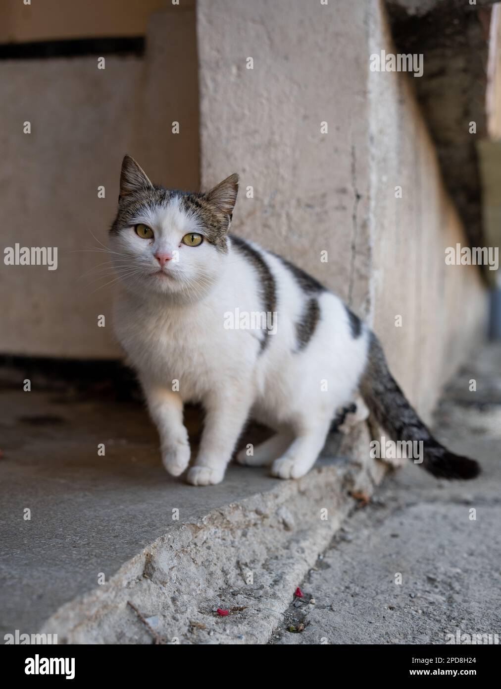 Stoopage hi-res stock photography and images - Alamy