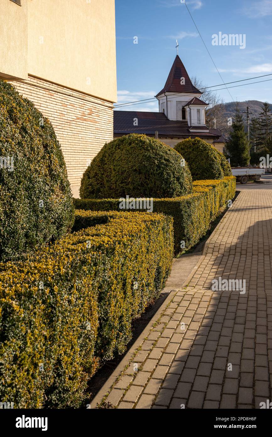 A Vertical sidewalk flanked by lush green bushes Stock Photo - Alamy