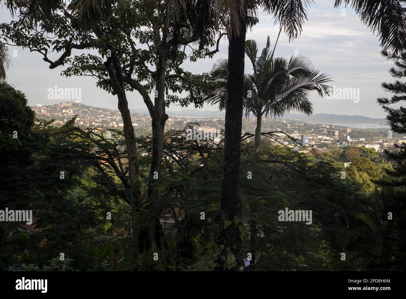 Illustration picture of Kampala taken during Reception and walking ...