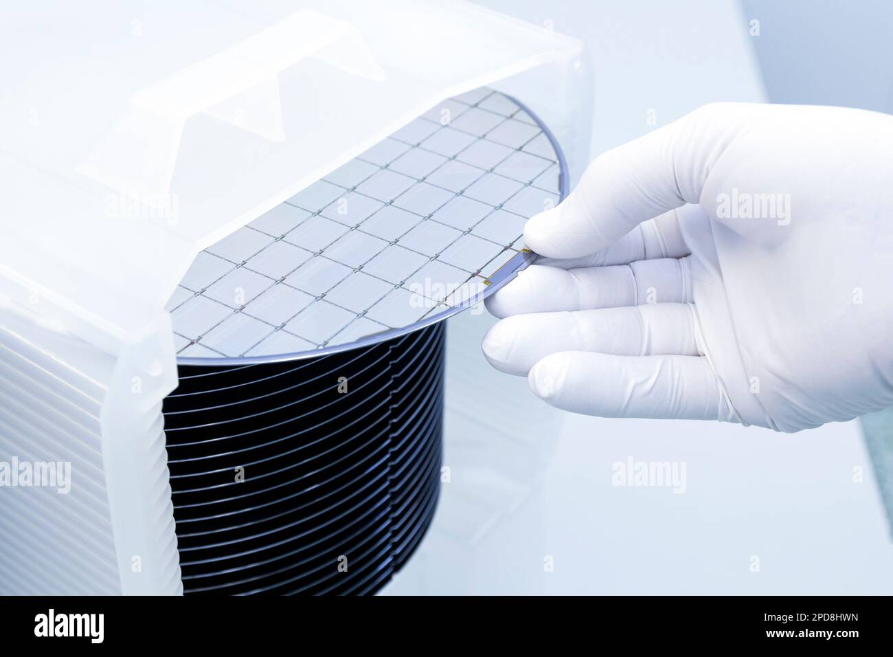 A batch of silicon wafers packed in a plastic storage box in the clean ...