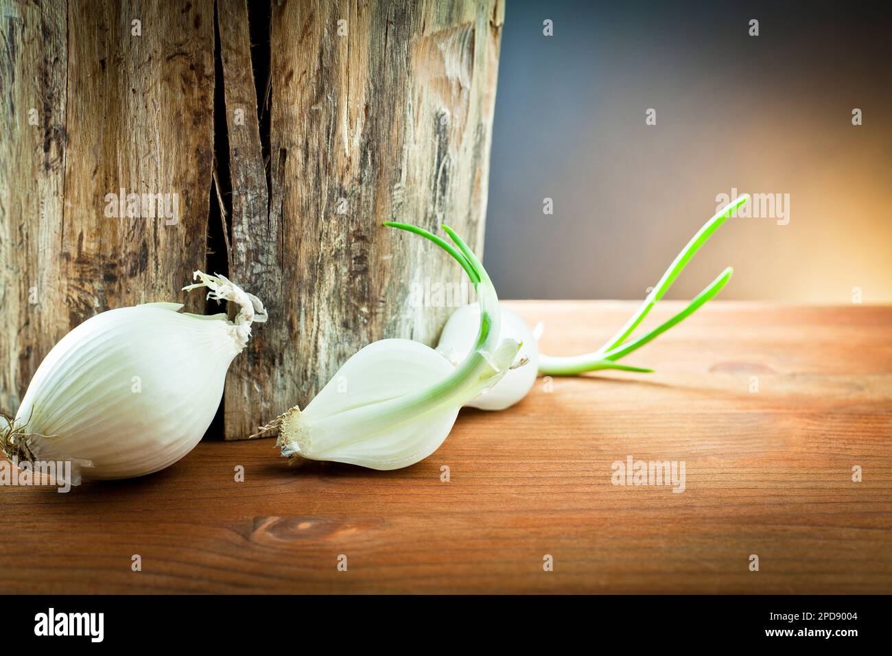 Onion sliced in half hi-res stock photography and images - Alamy