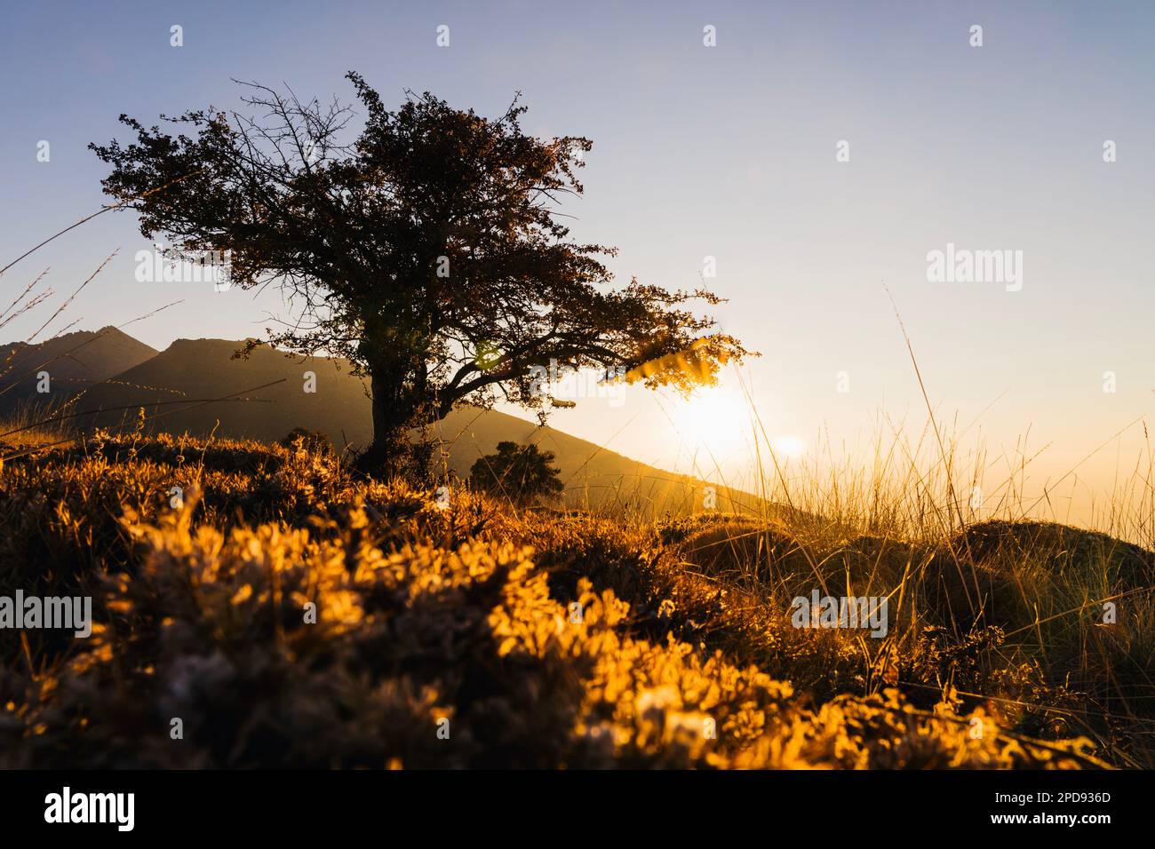 Karaman hi-res stock photography and images - Alamy