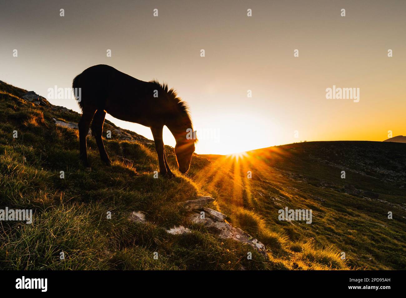 Rila nationalpark hi-res stock photography and images - Alamy