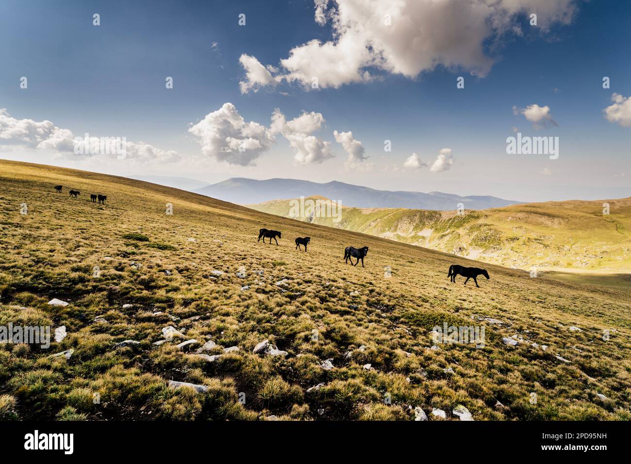 Rila nationalpark hi-res stock photography and images - Alamy