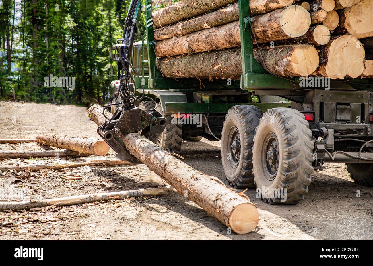 Forest industry. Wheel-mounted loader, timber grab. Felling of trees ...