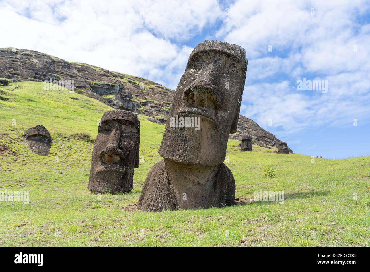 Moai Hinariru (on the right), the “crooked neck” moai, at Rano Raraku ...