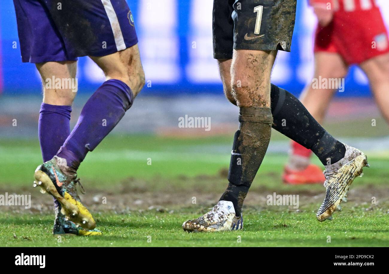 Zwickau, Germany. 14th Mar, 2023. Soccer: 3rd league, FSV Zwickau - FC ...