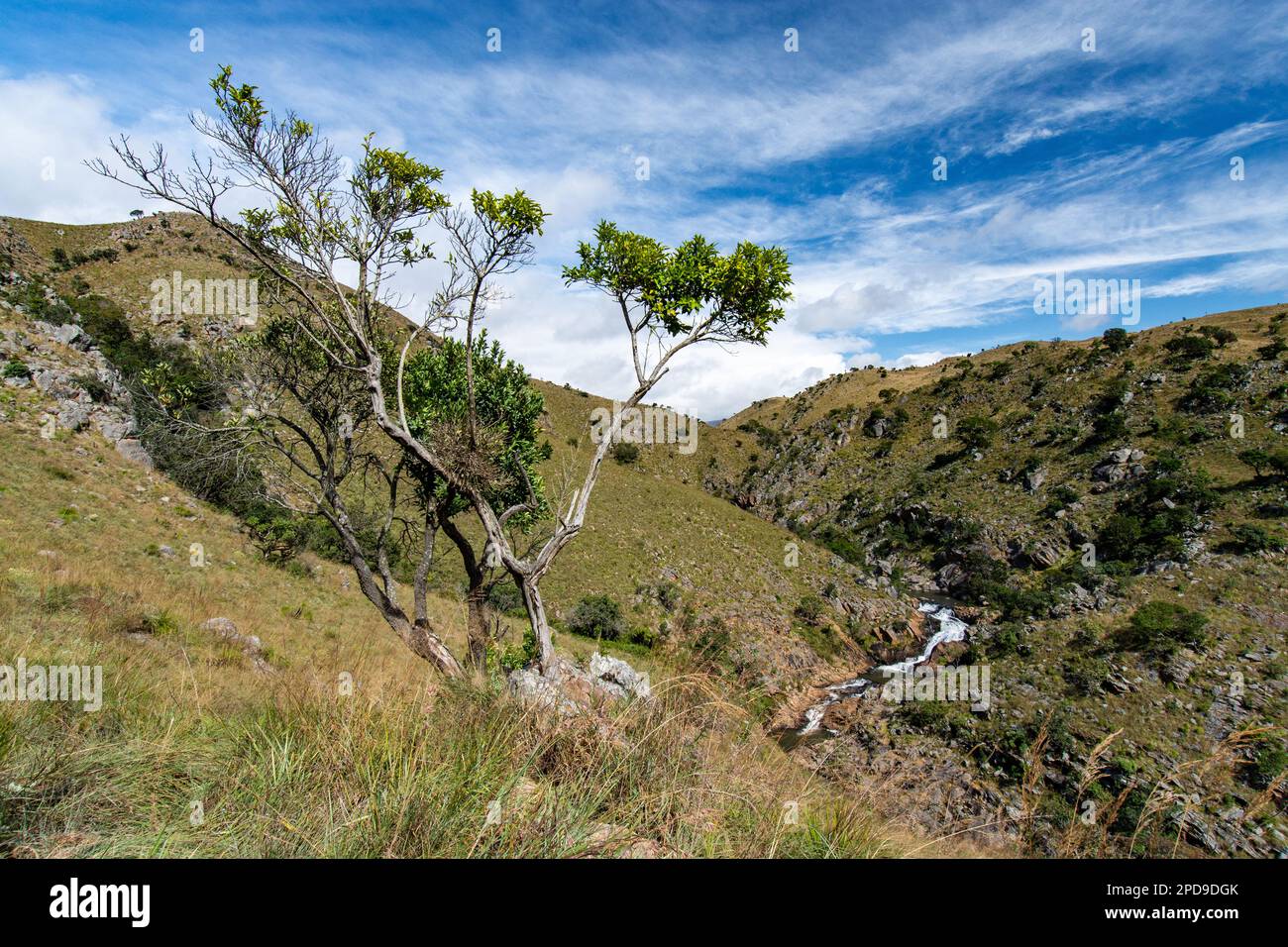mountainous landscape of the Malolotja Nature Reserve in Swaziland ...