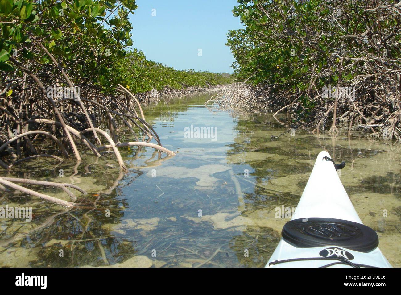 ** ADVANCE FOR Monday, MARCH 20 ** The tip of a kayak is seen paddling ...