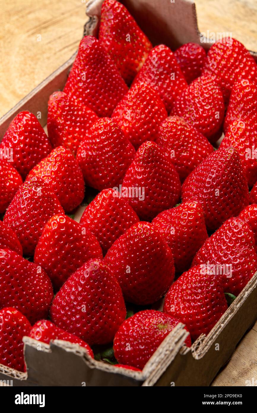 New harvest, 1 kilogram paper box of ripe red sweet Spanish strawberry ...