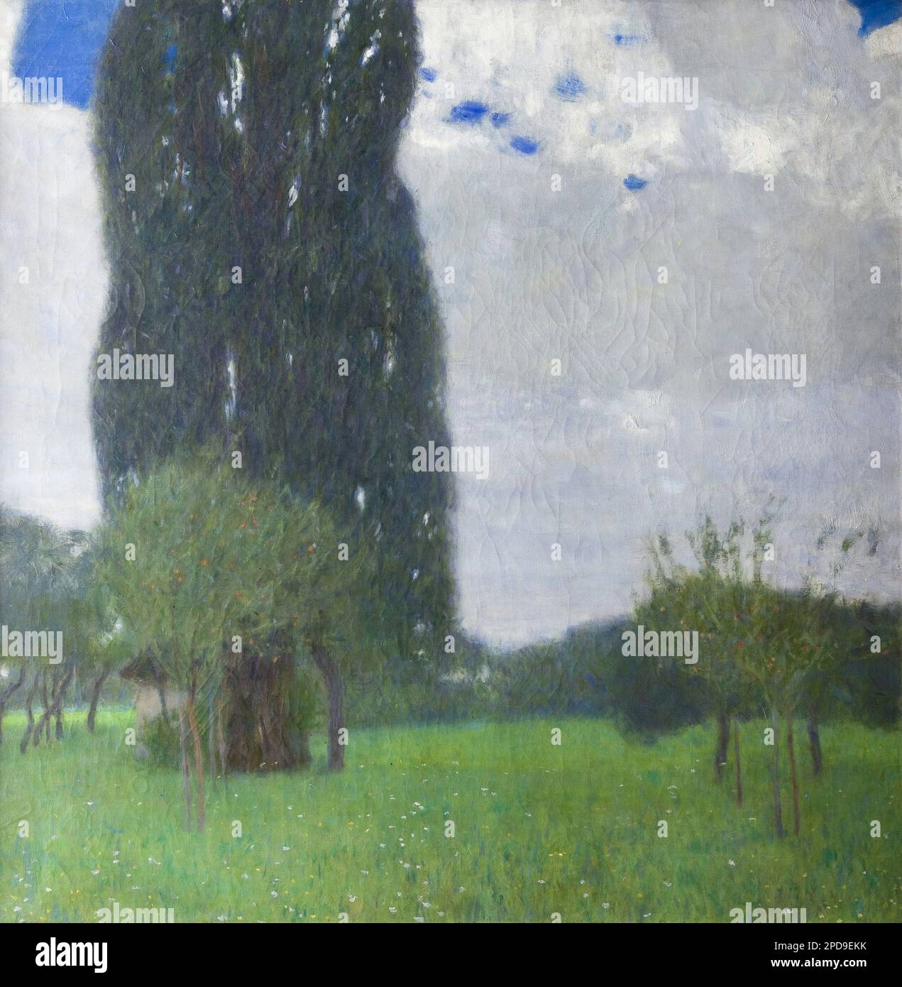 The Large Poplar I 1900 by Gustav Klimt Stock Photo - Alamy