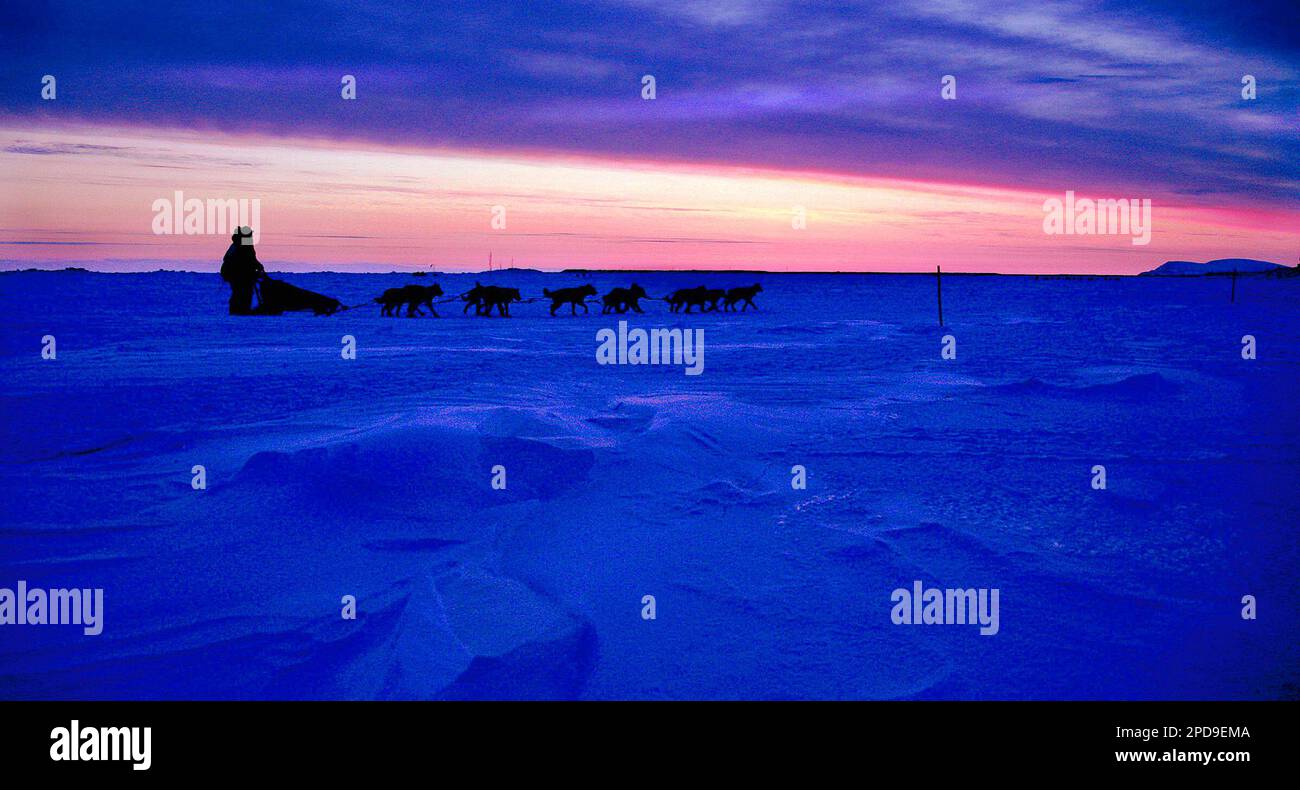 Hugh Neff of Skagway, Alaska drives his dog team on the frozen Bering ...