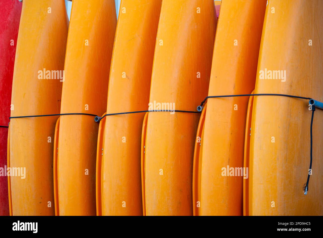 A vibrant collection of kayaks stored vertically against a wall ...