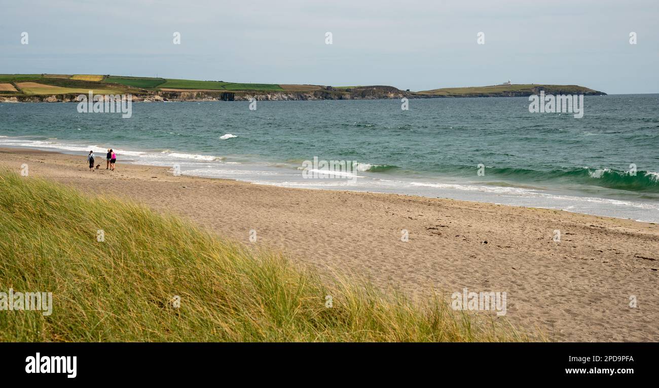 People walking on a sandy beach. Castlefreke warren Atlantic ocean ...