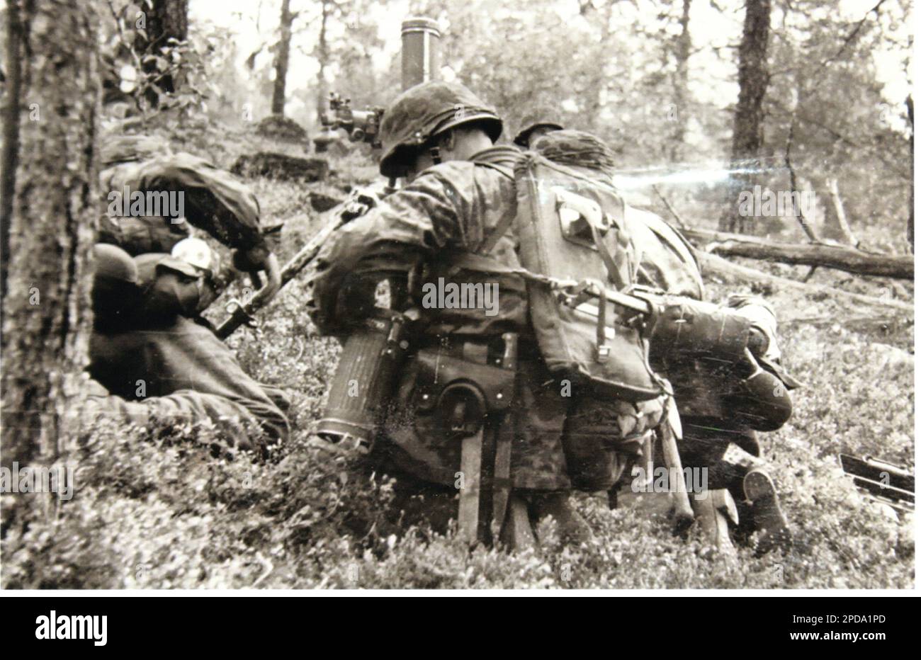 World War Two B&W photo A German Mortar Crew set up in a forest in the ...