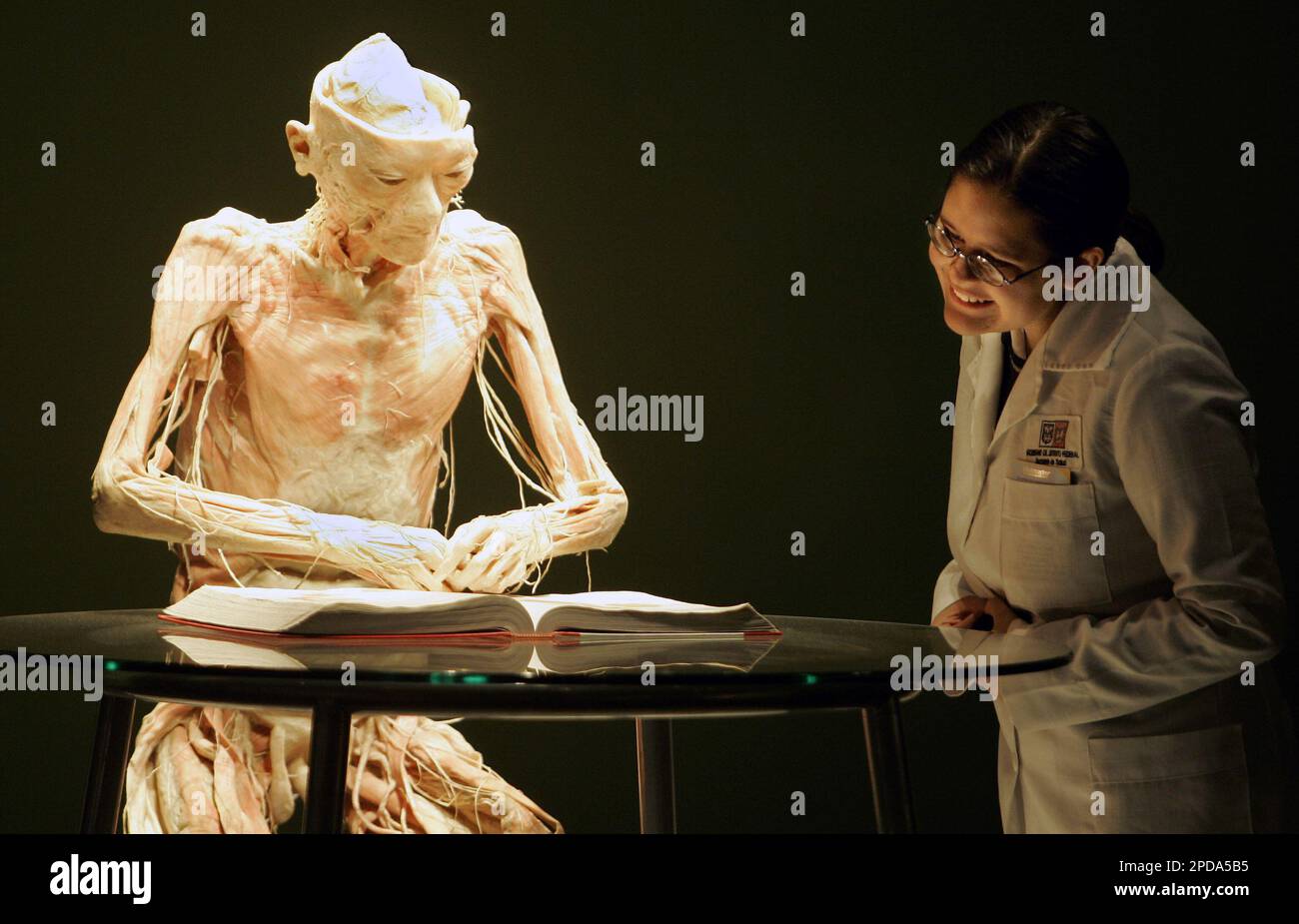 A visitor observes a cadaver during the exhibit "Body Worlds" in Mexico ...