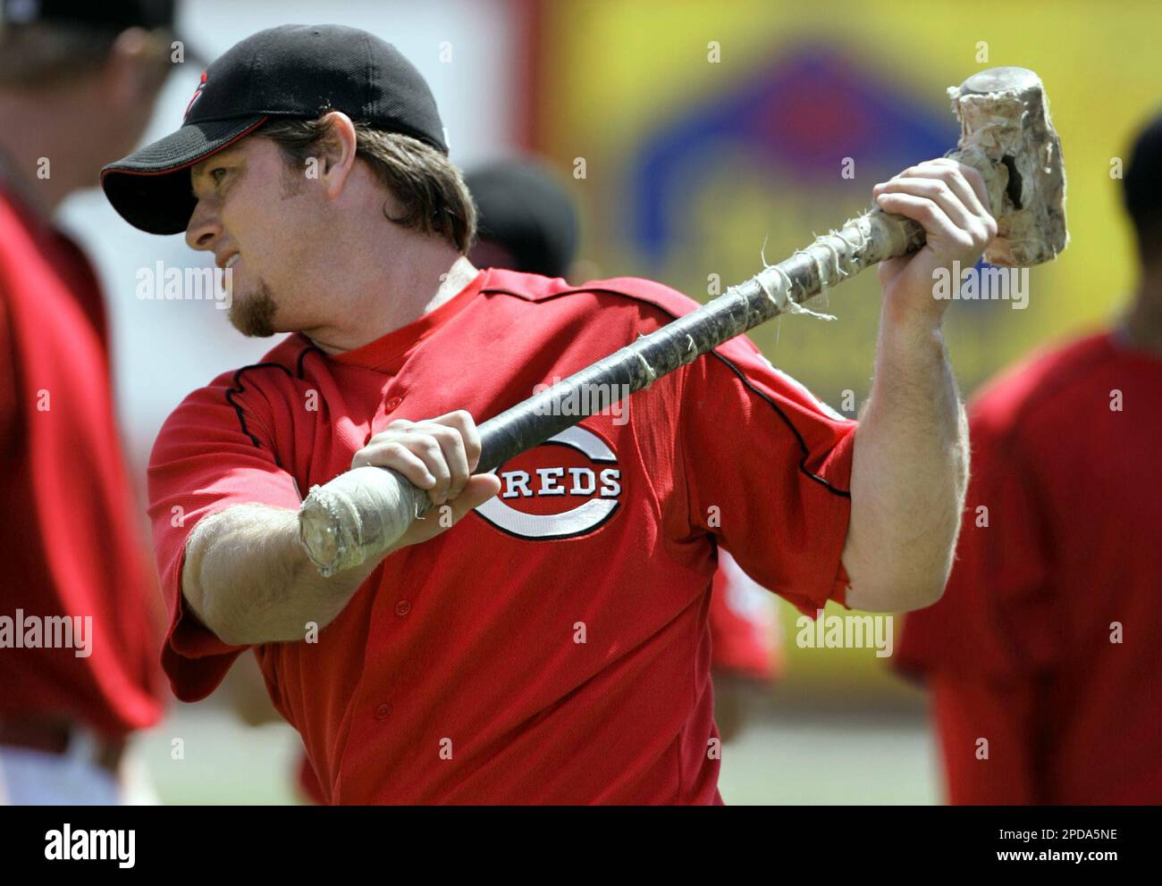 Cincinnati Reds first baseman Scott Hatteberg loosens up with a sledge ...