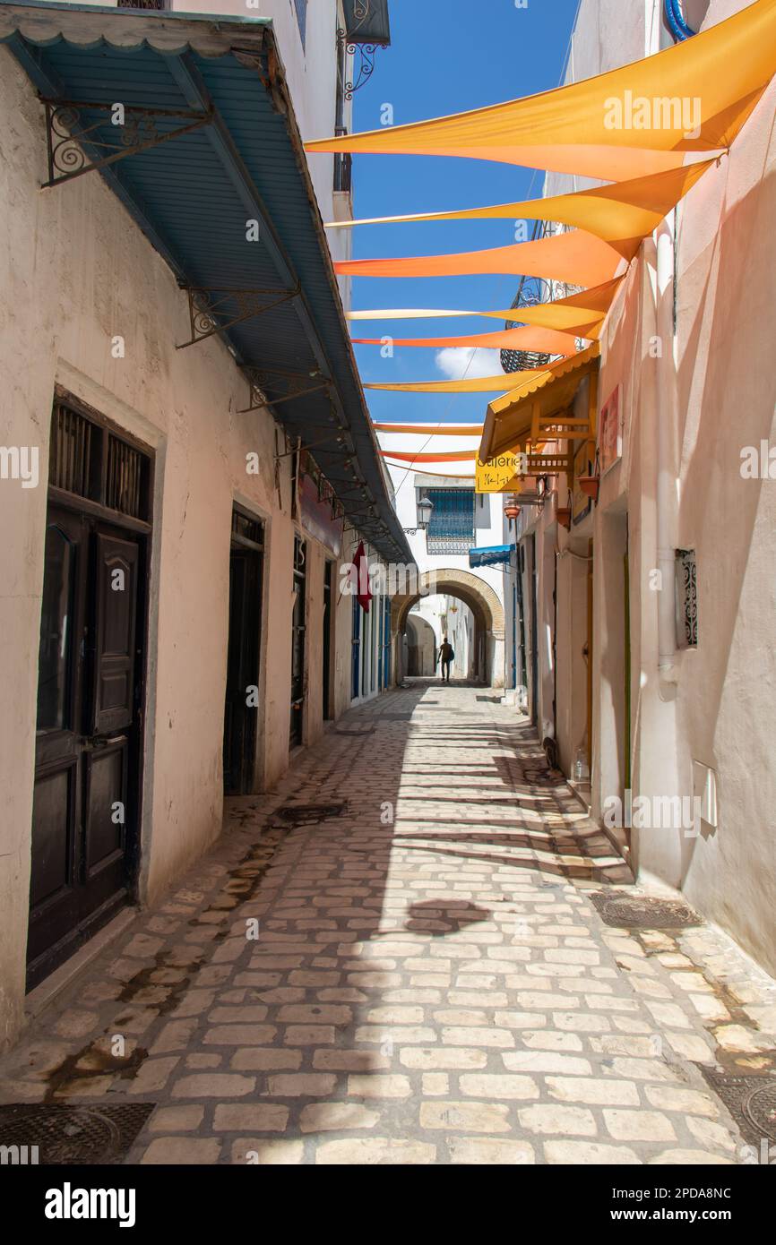 Tunisian royalty. Visit the Dar Lasram Hammouda Pacha Museum, a palace ...