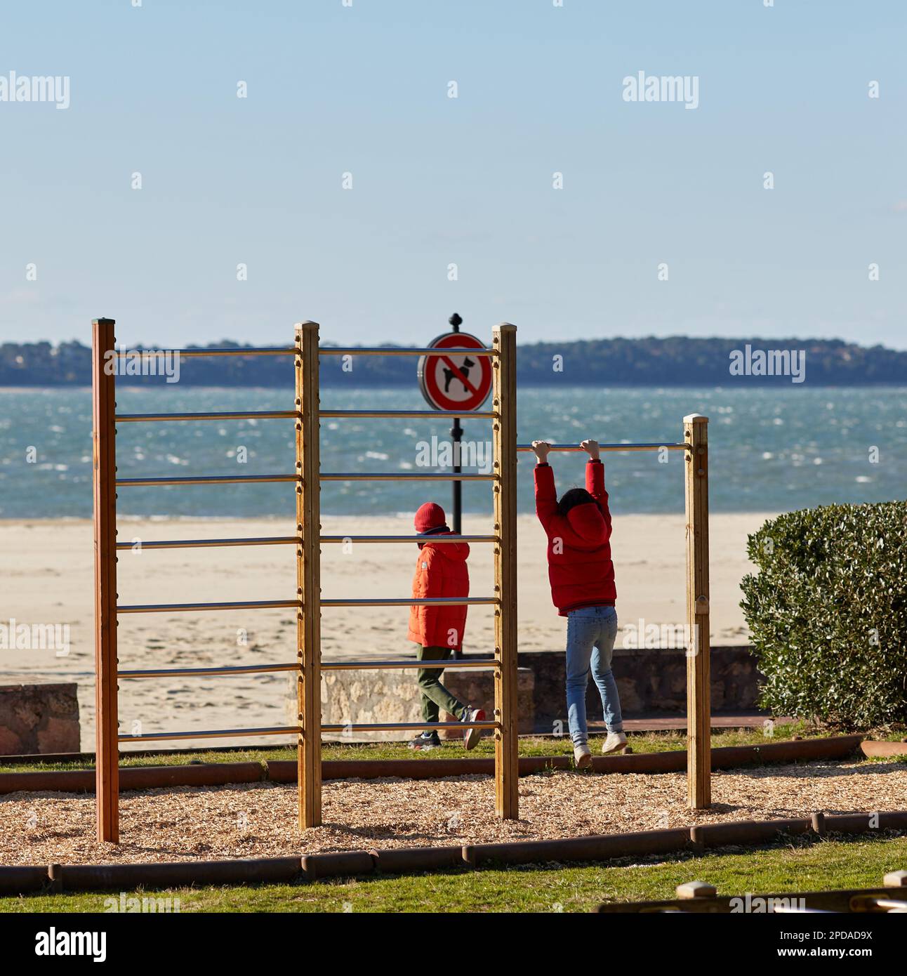 young child hanging on a bar on lawn a sunny day Stock Photo - Alamy