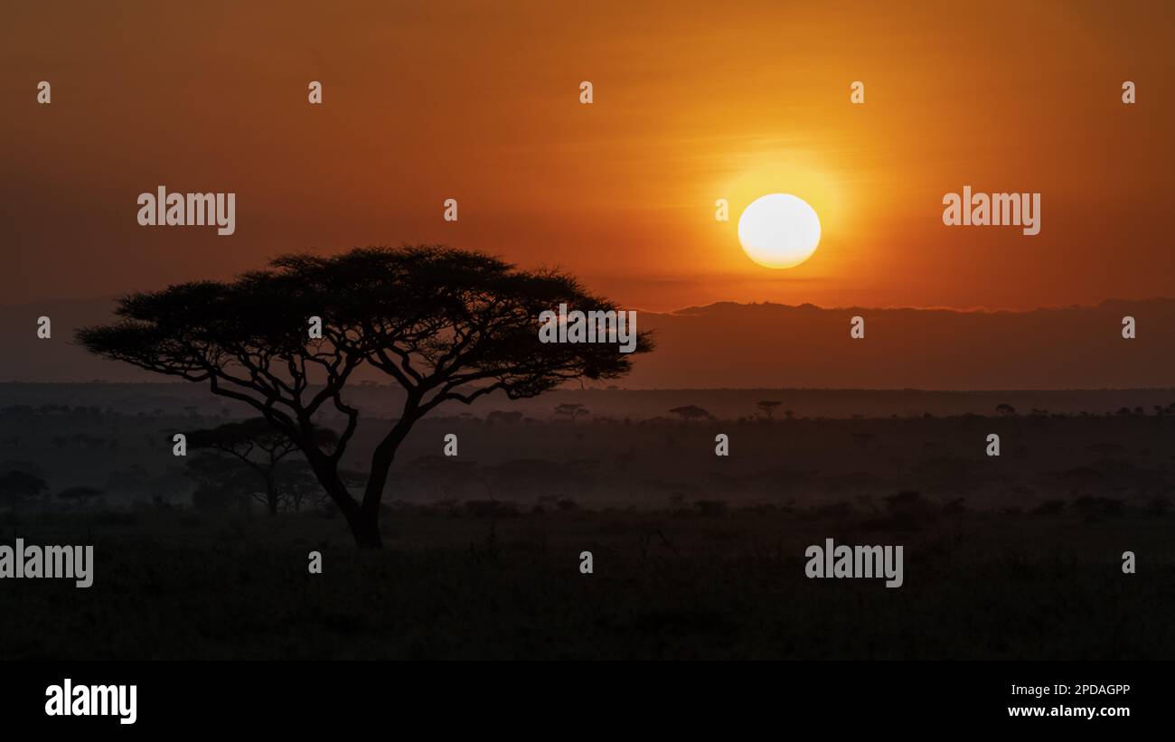 Africa african sunset orange yellow sun hi-res stock photography and ...