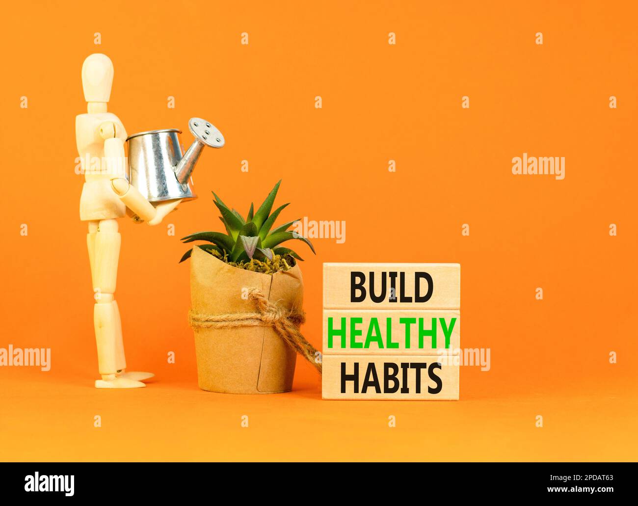 Motivation and Build healthy habits symbol. Concept words Build healthy ...