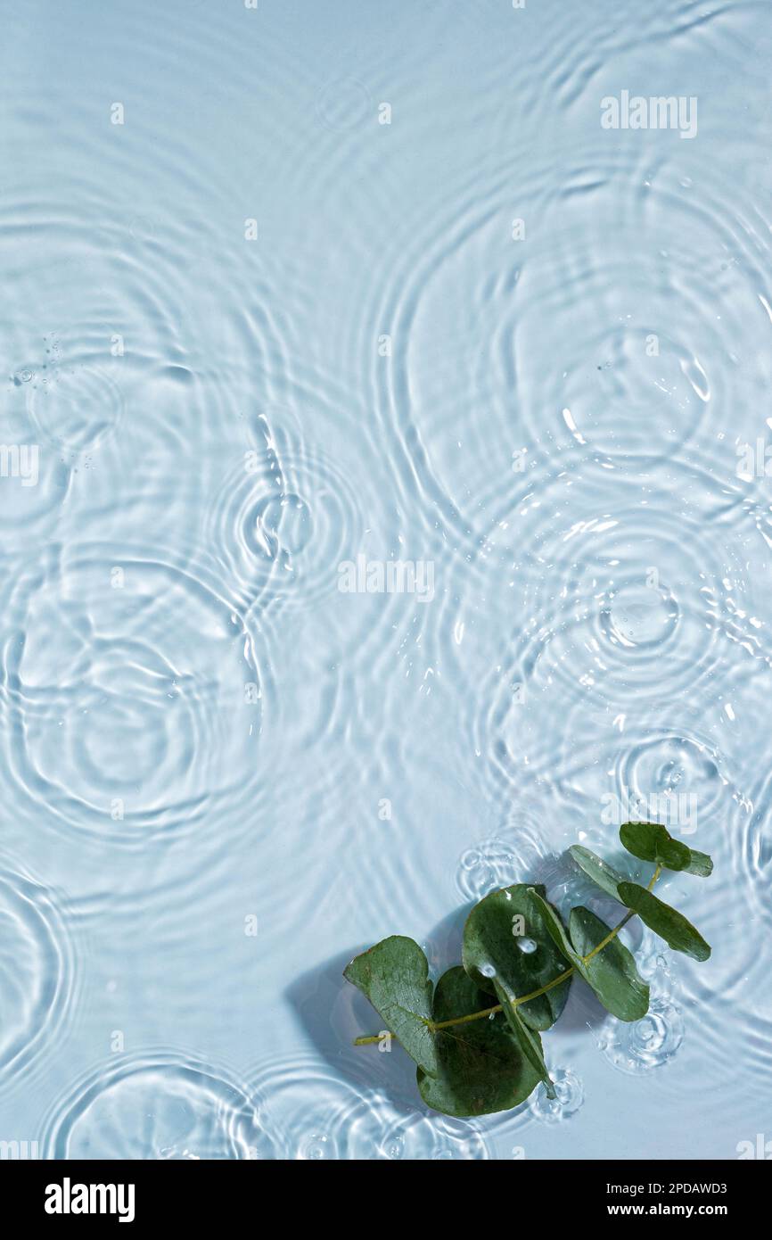 Blue water texture, surface with rings and ripples. Spa concept ...