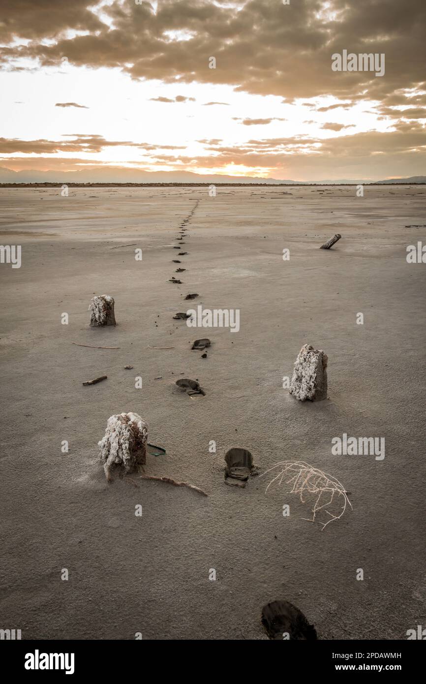 A dry lake bed desert with footprints in the ground Stock Photo - Alamy