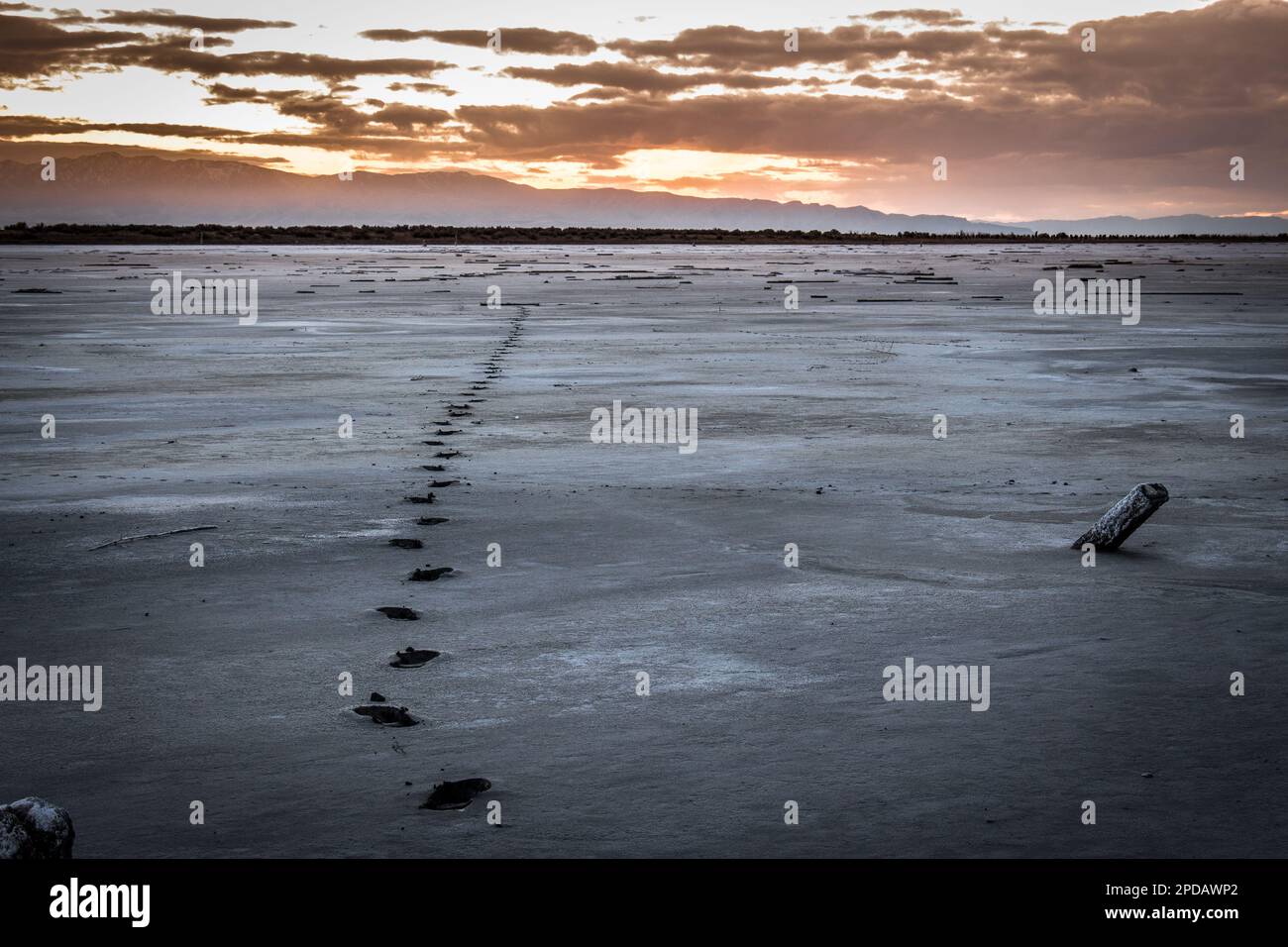 A dry lake bed desert with footprints in the ground Stock Photo - Alamy