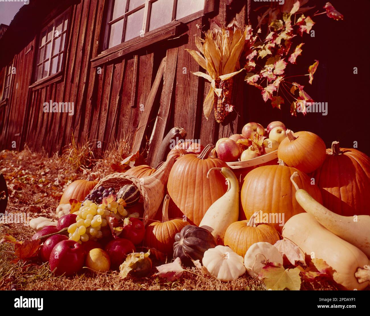 Fall harvest still life setup against an old wooden barn Stock Photo - Alamy