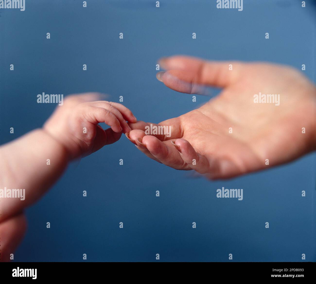 Female adult hand out while baby hand touches the adult finger Stock ...