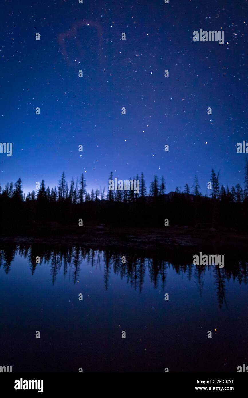 Stars at Night Above Forest Tree Line Stock Photo - Alamy