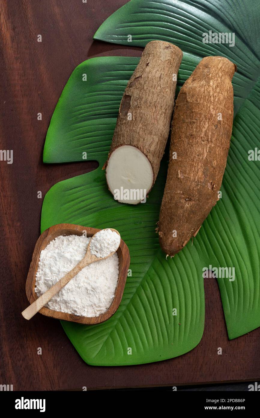 Cassava; Organic cassava starch Raw - Manihot esculenta Stock Photo - Alamy